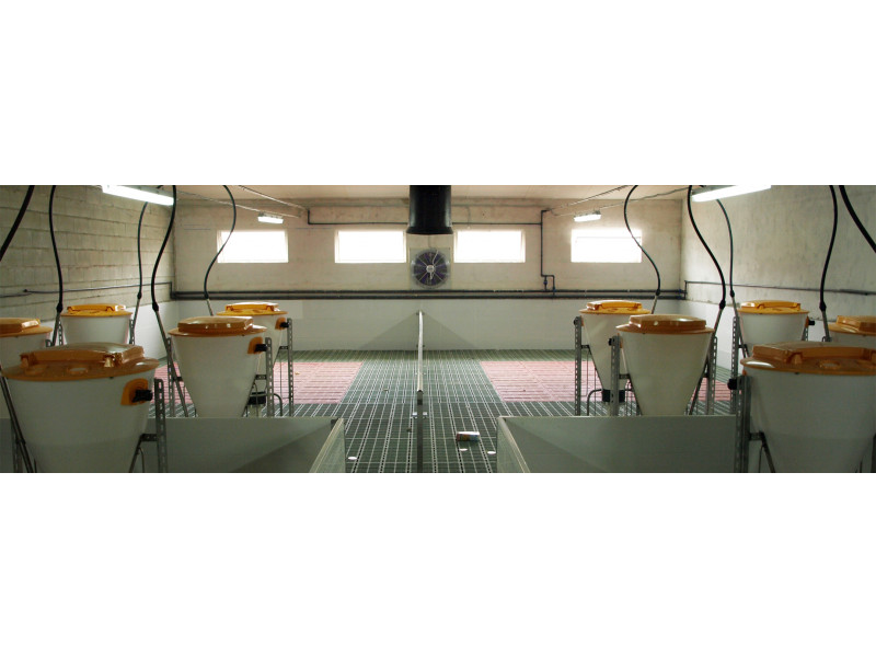 Electronic wall fans – EC - Exafan | Exafan